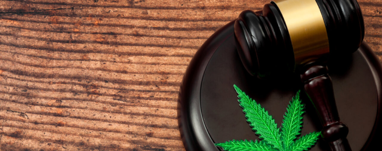 BIA Reaffirms Realistic Probability Test For Determining Whether Drug ...
